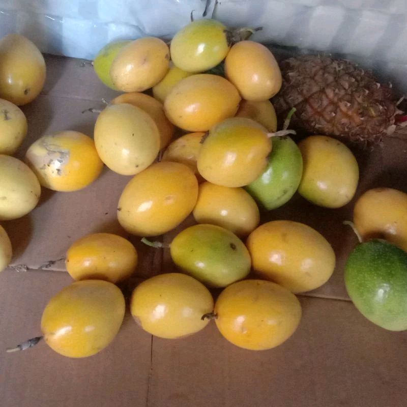 Jual Buah Markisa kuning 1kg | Shopee Indonesia