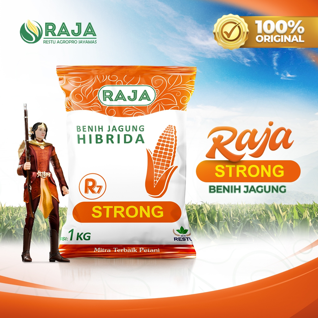 Jual Benih Jagung Hibrida Raja R7 Strong - 1kg | Shopee Indonesia