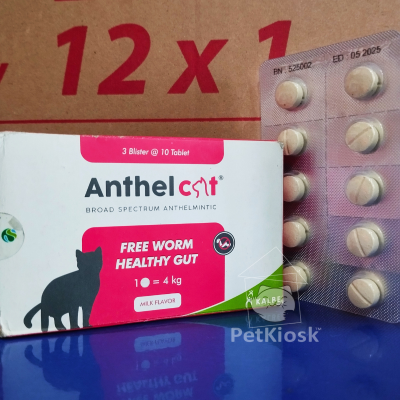 Jual ANTHEL CAT Obat Cacing Kucing Tablet Ampuh Spektrum Luas | Shopee ...