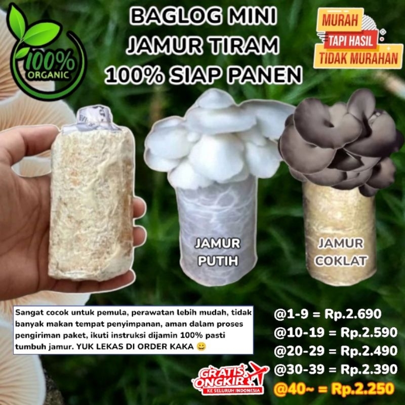 Jual Baglog Jamur Tiram Mini Murah | Shopee Indonesia