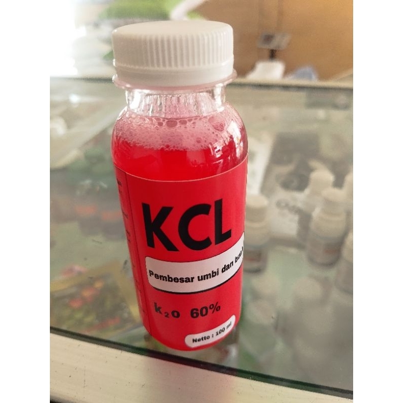 Jual kcl buah dan umbi / meningkatkan bobot buah dan umbi / kcl cair 60 ...