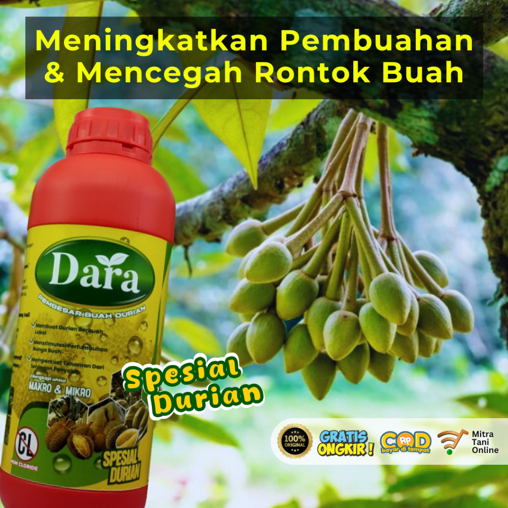 Jual Pupuk Dara Booster Durian | Pupuk Pembesar Buah & Penyubur Durian | Cepat Berbunga & Panen ...