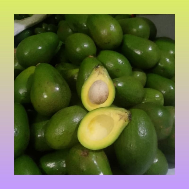 Jual Alpukat mentega super 10 kg isi 3-4 pcs per kilo harga grosir ...