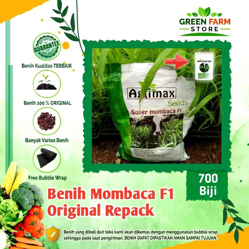 Jual Benih rumput Mombaca super F1 original kemasan repack (700biji ...