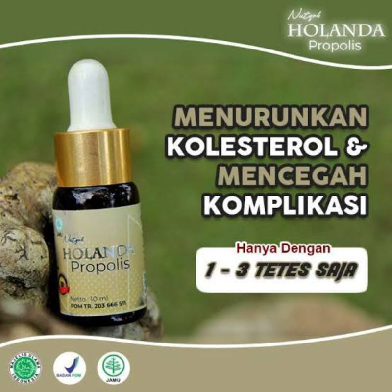 Jual Holanda Propolis Original Obat Asam UratRematik Stroke Saraf ...