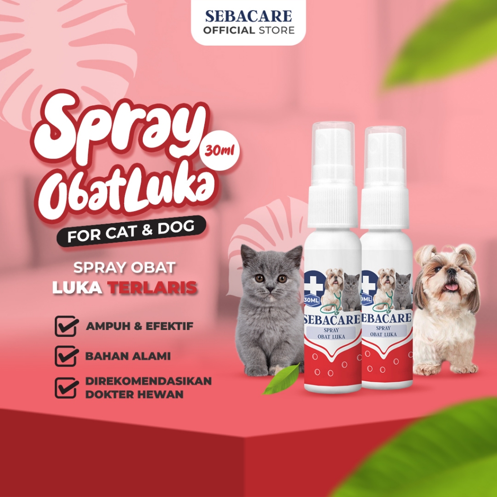 Jual SEBACARE Obat Spray Kucing Luka Basah Bakar Koreng | Pengering ...