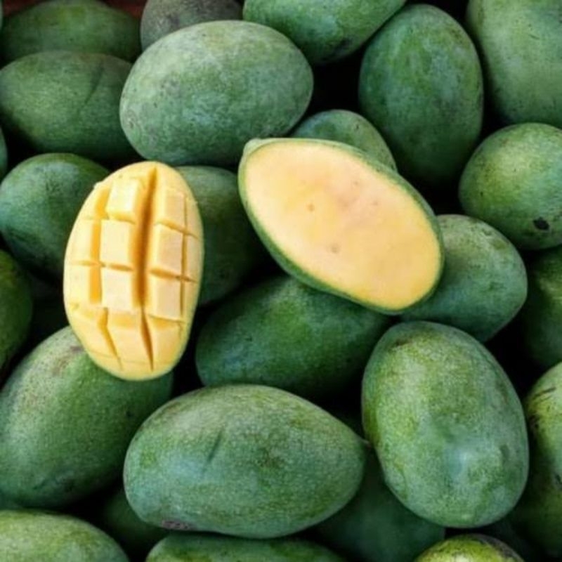 Jual MANGGA MANALAGI ENAK DAN MANIS UKURAN KECIL | Shopee Indonesia