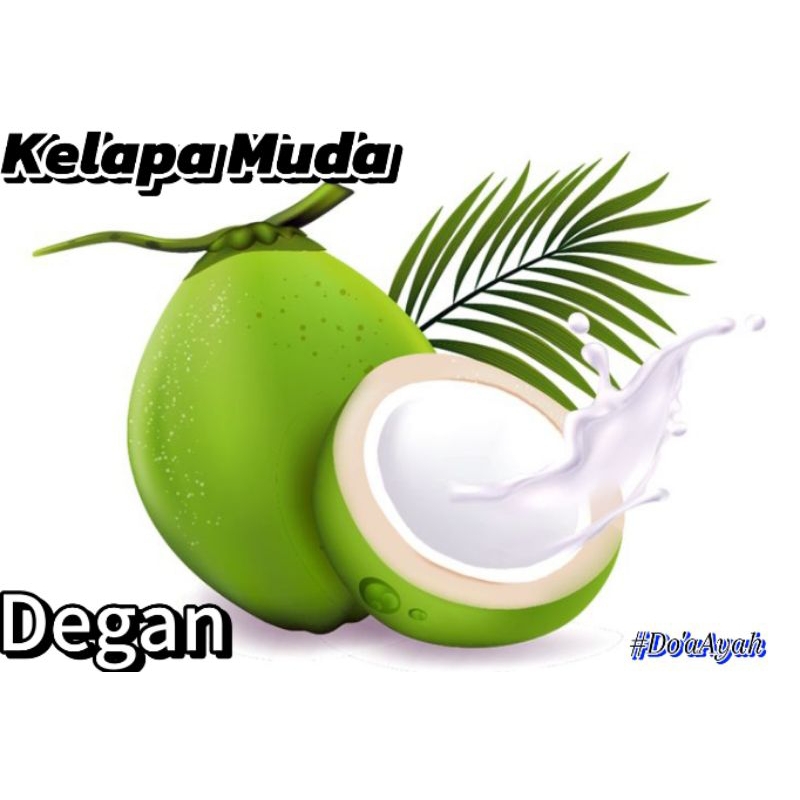 Jual PROMO!! Kelapa Muda // kelapa ijo muda / 2pcs | Shopee Indonesia