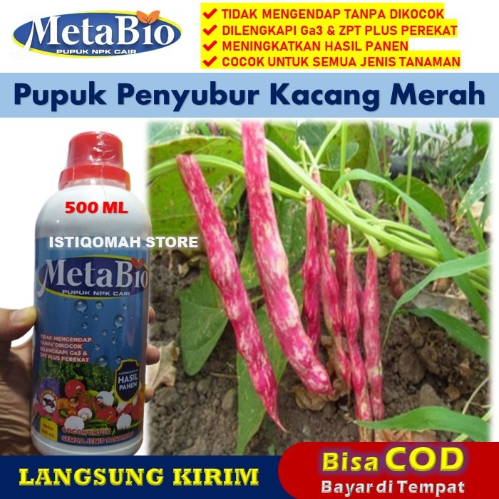 Jual Pupuk NPK Cair Tanaman Kacang Merah METABIO 500ML Pupuk Penyubur dan Pelebat Buah Kacang ...