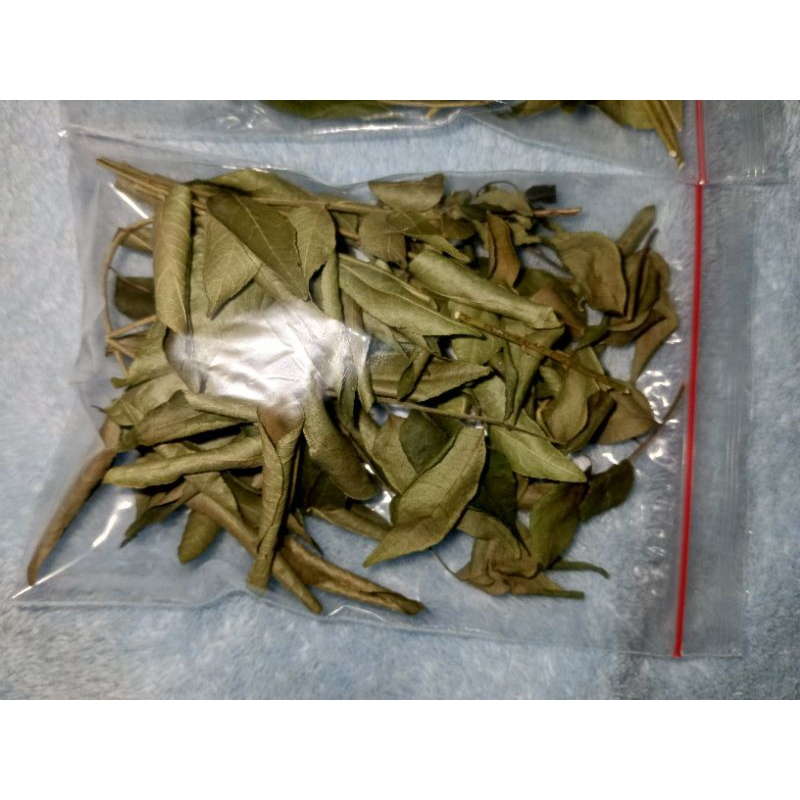 Jual DAUN KARI/ SALAM KOJA | Shopee Indonesia