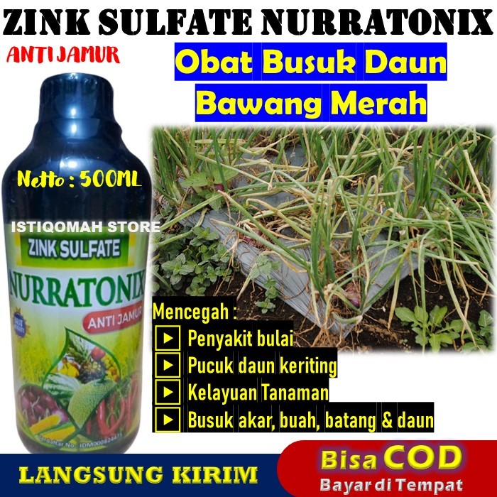 Jual Obat Busuk Daun Bawang Merah ZINK NURRATONIX 500ML Pupuk Anti Jamur Atasi Penyakit Busuk ...
