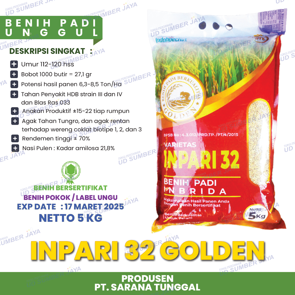 Jual Benih Padi Inpari 32 Jumbo Premium 5kg Benih Padi Unggul Bersertifikat | Shopee Indonesia
