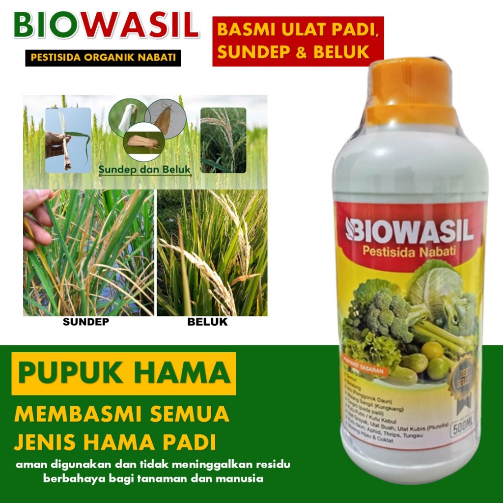 Jual BIOWASIL 500 ML Pupuk Organik anti Hama Padi Sundep Beluk Tanaman Padi Sawah Ulat Padi ...