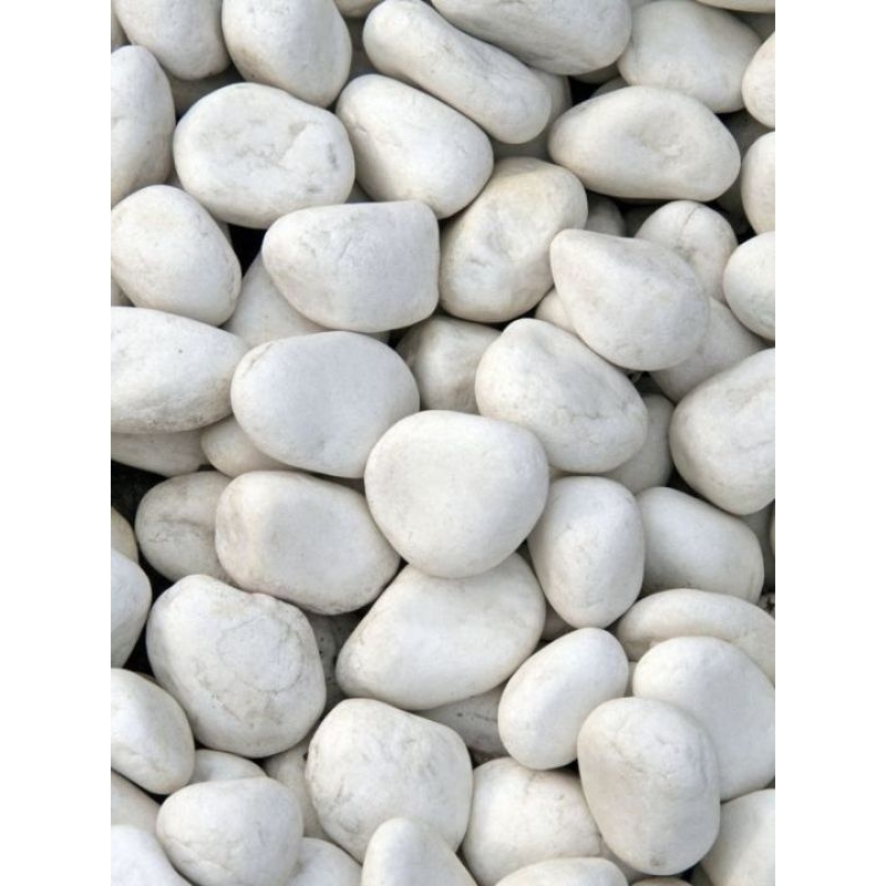 Jual BATU KORAL PUTIH PERKARUNG 10 KG | Shopee Indonesia