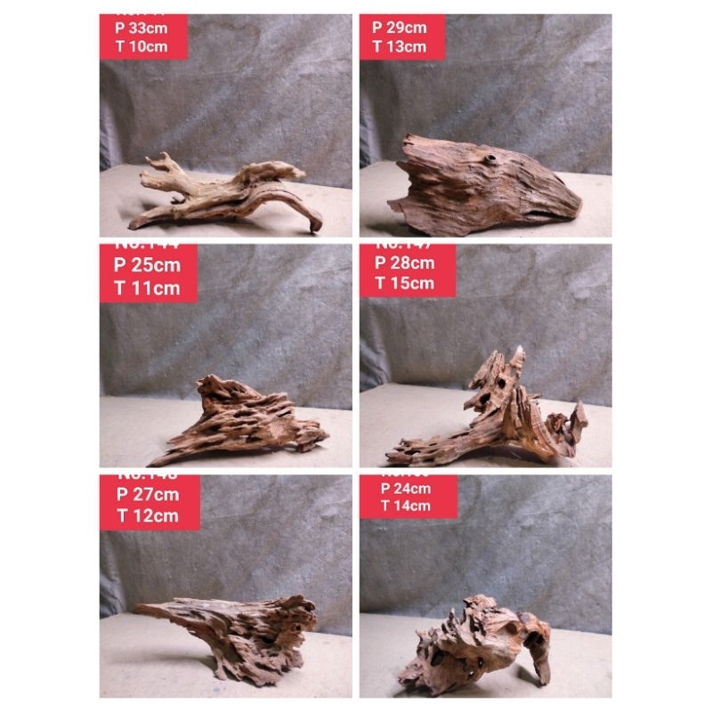 Jual kayu rentek drift Wood aquarium aquascape 141 sd 150 | Shopee ...