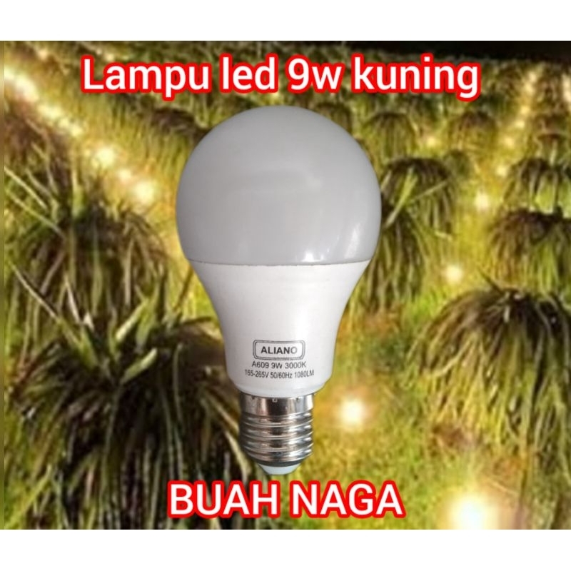 Jual LAMPU LED 9W KUNING, LED BUAH NAGA, ALIANO 9W KUNING | Shopee Indonesia