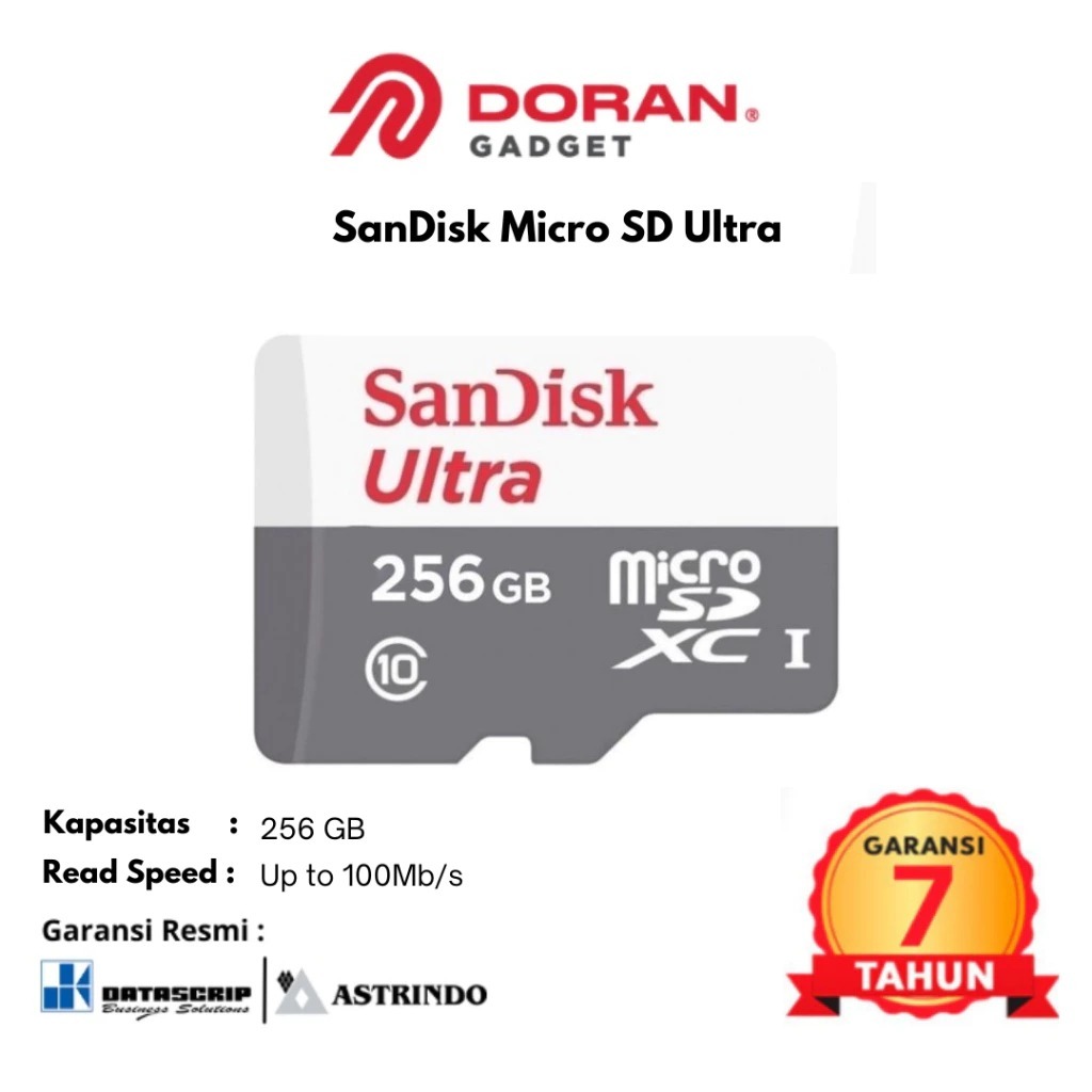 Jual Sandisk Ultra Micro SD 256GB 100Mbps CLASS 10 MicroSDXC - Garansi ...