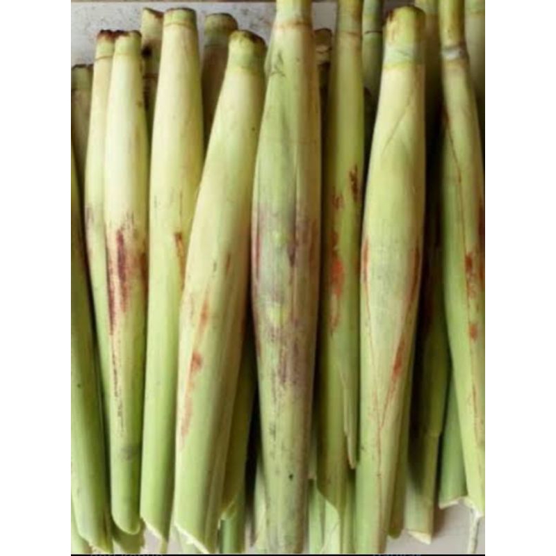 Jual 1 kg Turubuk sayur atau Telur Tebu | Shopee Indonesia
