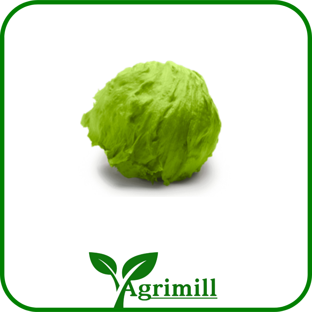 Jual Letus | Lettuce Head 1KG | Shopee Indonesia
