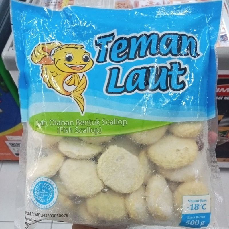 Jual Teman Laut scallop 500gr | Shopee Indonesia