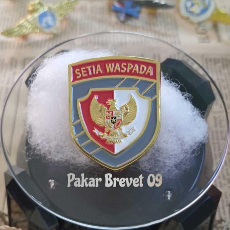 Jual Ofi Store : BREVET TNI/PIN TNI/PIN SETIA WASPADA/PIN PASPAMPRES ...