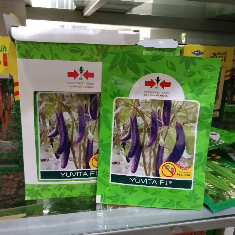 Jual Benih Bibit Terong Yuvita F1, Perawatan Mudah, Produksi Tinggi dan Tahan Virus, Isi 1100 ...