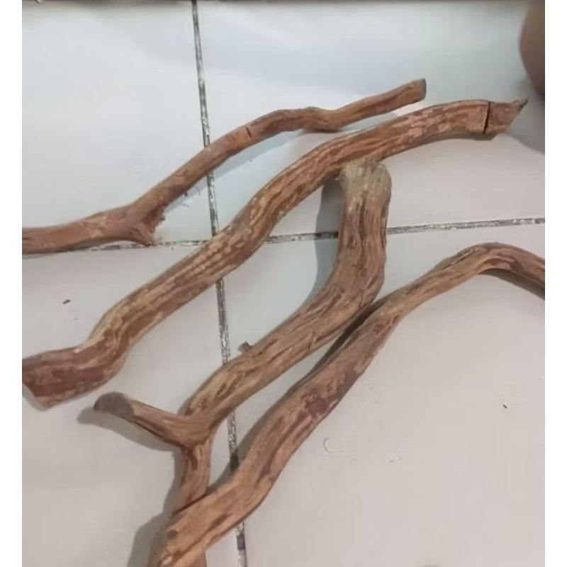 Jual bonggol Akar Rasamala akar aquascape aquarium/random 25 sd 30cm ...