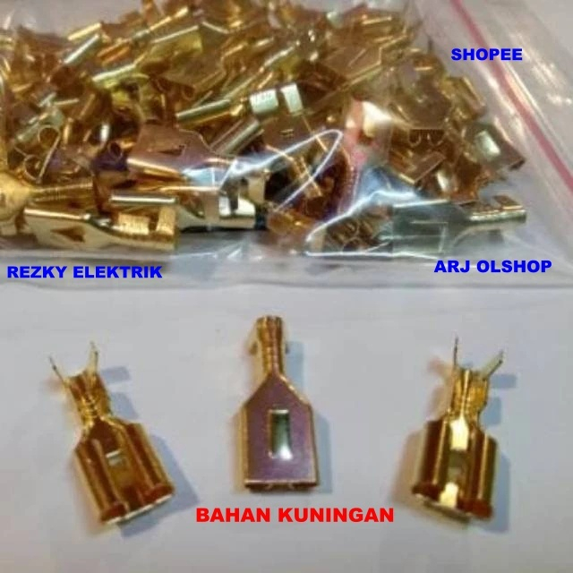 Jual SKUN GEPENG BESAR MALE FEMALE / SKUN GEPENG BESAR COWOK CEWEK ...