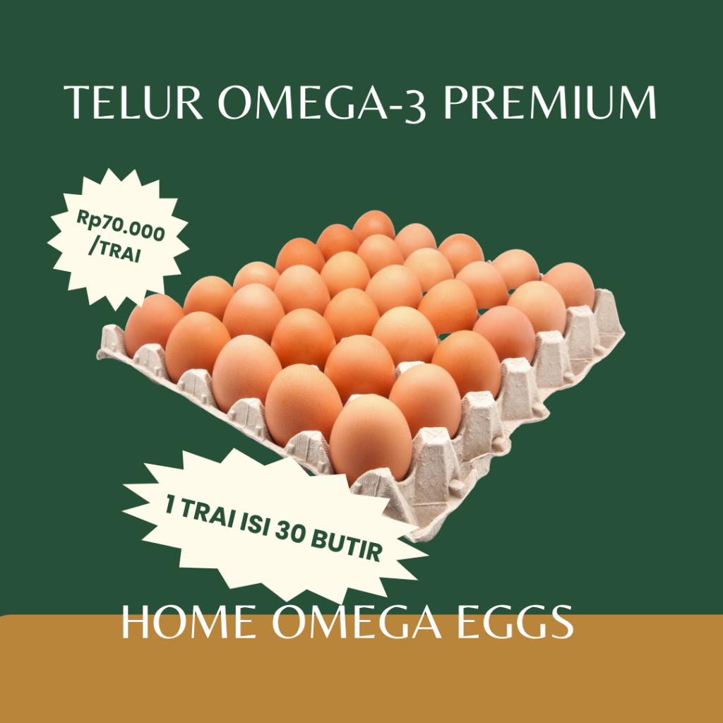 Jual Home Omega Eggs Telur Ayam Red Yolk (Omega-3) Isi 30 Pcs | Shopee ...