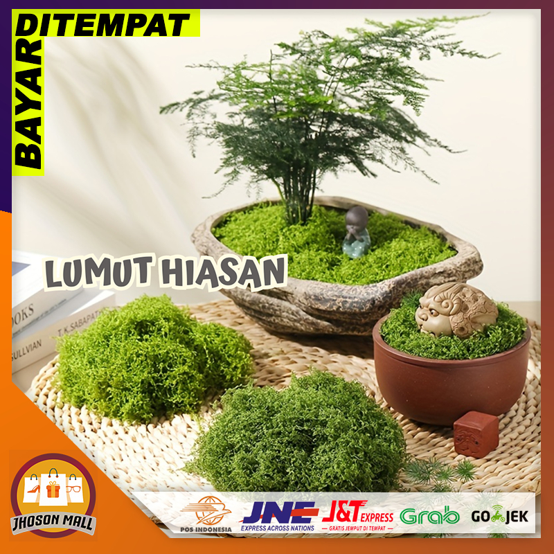 Jual JM Lumut Hiasan Lumut Abadi Lumut Awetan Dekorasi Bunga Tanaman ...
