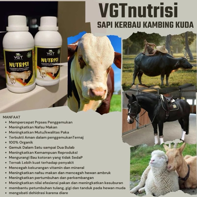 Jual Vgt Nutrisi sapi kerbau kambing kuda penggemuk 250 ml | Shopee ...