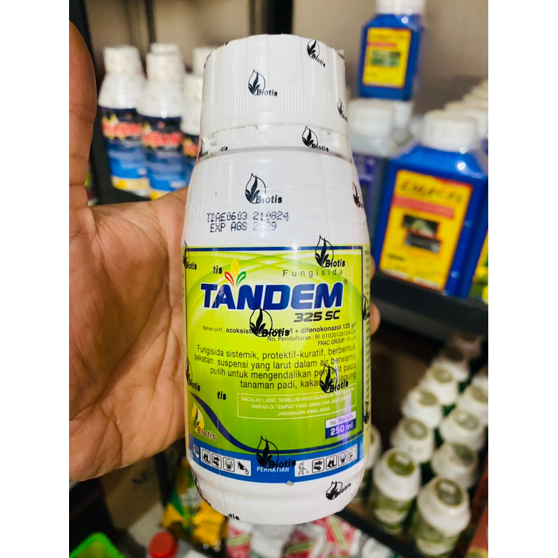 Jual tandem 325sc 250ML obat fungisida obat buah untuk segala tanaman ...
