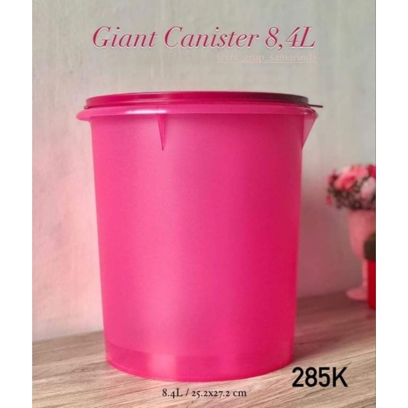Jual Tupperware Giant Canister 8,4 L Magenta | Shopee Indonesia