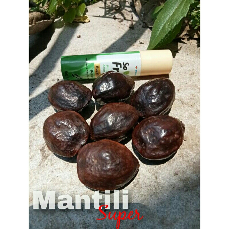 Jual Muncang Jawa Mantili Super (sudah dicuka) | Shopee Indonesia