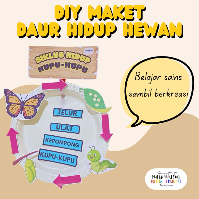 Jual DIY Crafting Model Siklus Hidup dan Metamorfosis Hewan Ide ...