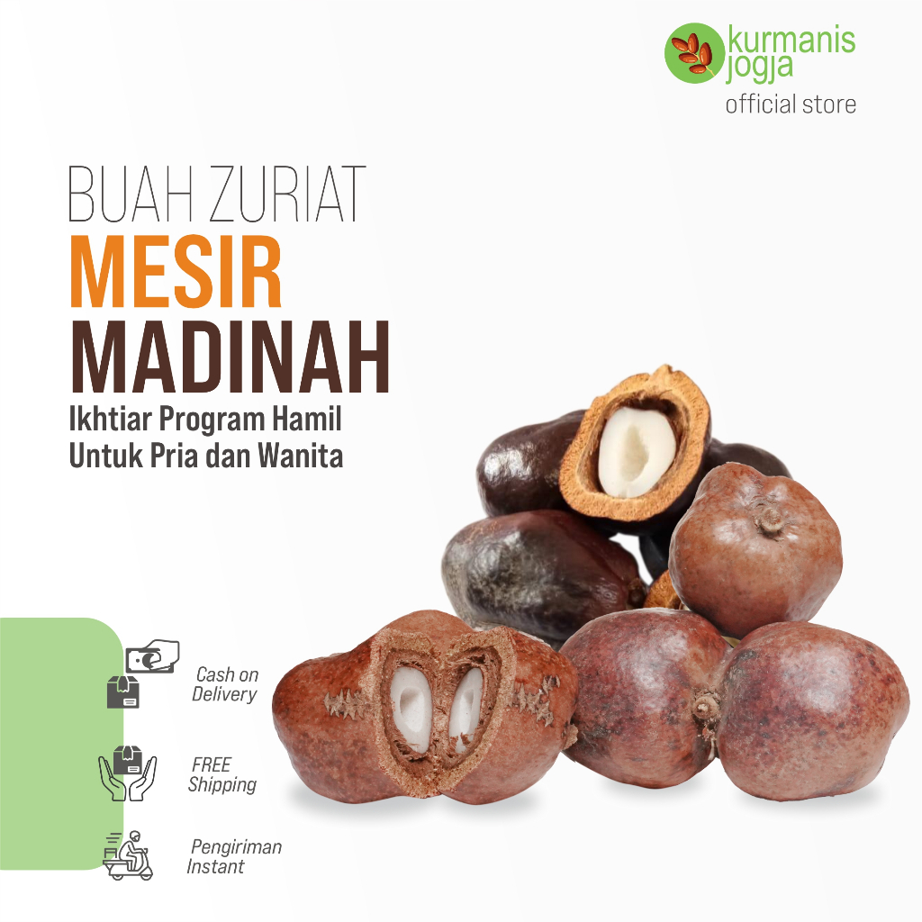 Jual Buah Zuriat Promil Original Madinah Doum Belah Premium Berkualitas ...