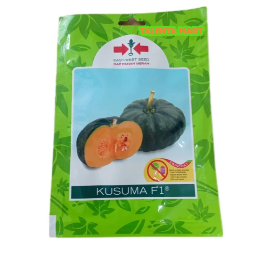 Jual 40 BUTIR BENIH LABU KUSUMA F1 CAP PANAH MERAH EXP 2025 | Shopee ...