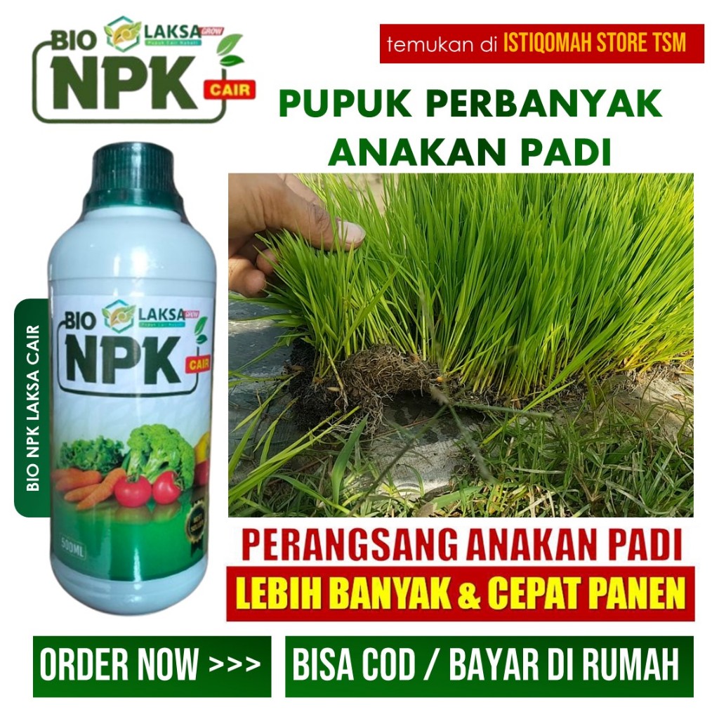 Jual BIO NPK LAKSA 500 ml – Pupuk Cair Perangsang Anakan Padi Lebih Banyak, Solusi Panen Lebih ...