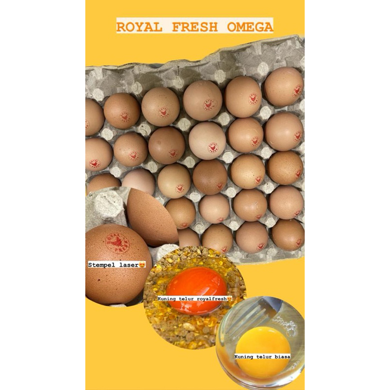 Jual Telur Omega Royal Fresh (Puding Size) | Shopee Indonesia