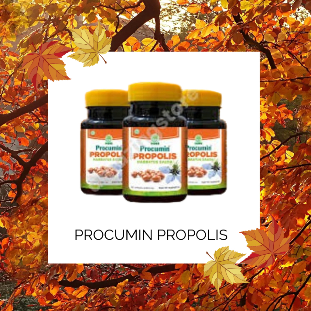Jual Khasiat Procumin Propolis HNI HPAI Bagi Tubuh Manusia yang sangat ...