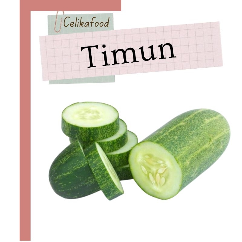 Jual Mentimun Timun Lokal Bonteng Cucumber Sayur sayuran salad fresh ...
