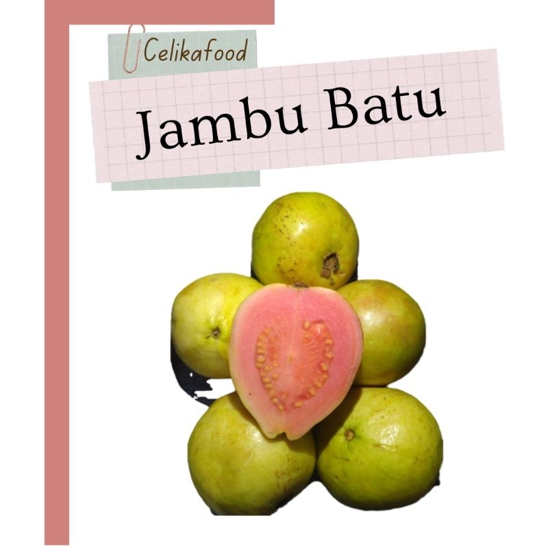 Jual Jambu Batu Merah 1 kg Biji Siki Klutuk Guava Buah Fresh Fruit ...
