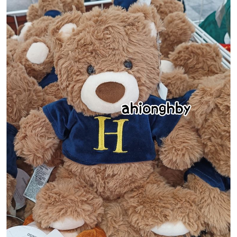 Jual Teddy Bear Harry Potter/Miniso X Harry Potter/Boneka Anak/Boneka ...