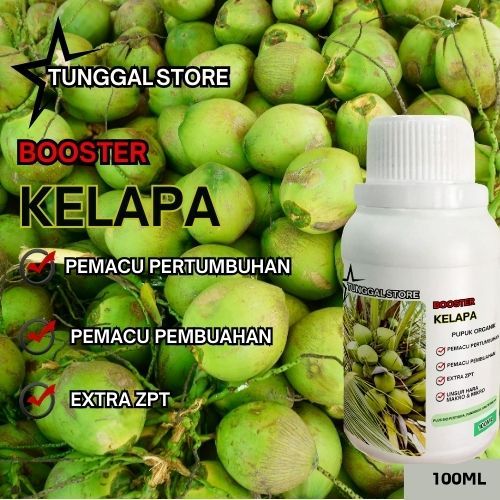 Jual pupuk organik cair tanaman kelapa, booster pelebat buah kelapa, perangsang masa pertumbuhan ...