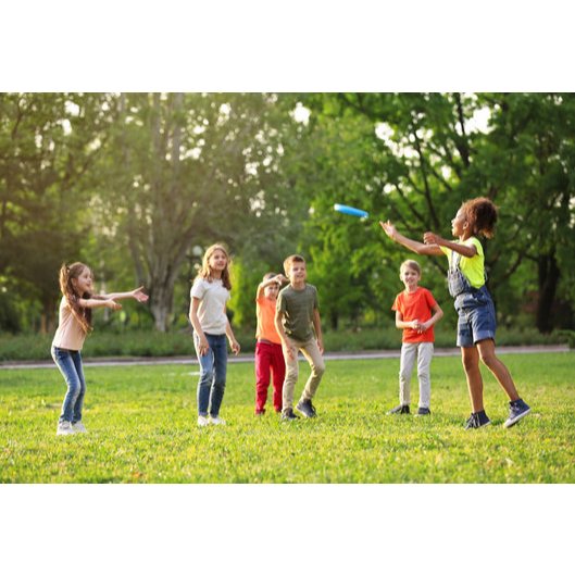 Jual VORTEX PERMAINAN PIRING TERBANG FRISBEE FLYING DISC 12 INCHI 4 ...