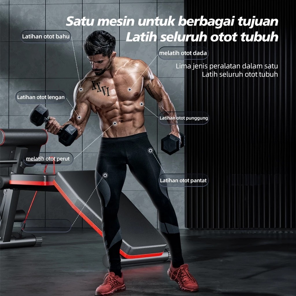 Jual Sport Sit Up Bench Press Alat Olahraga Gym Dumbell Sit Up Board ...