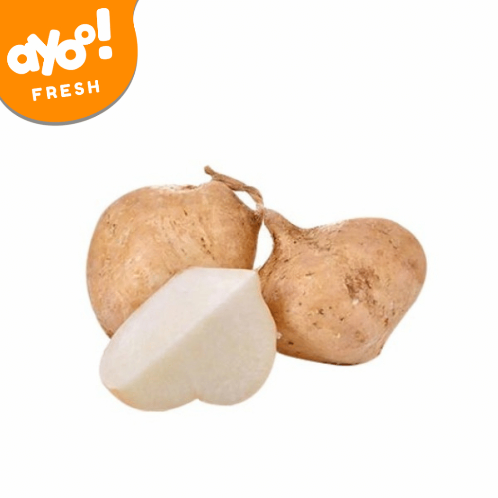 Jual Bengkoang / Bengkuang Fresh 950 g - 1 Kg | Shopee Indonesia