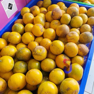 Jual Jeruk 1 Kg Terlengkap & Harga Terbaru November 2024 | Shopee Indonesia