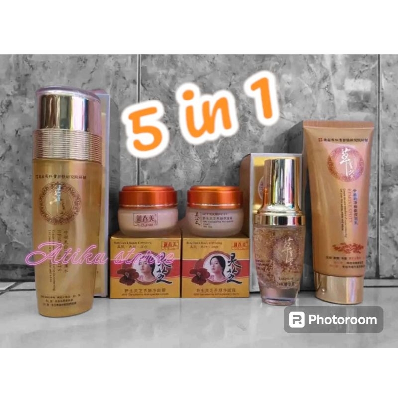 Jual SALE(GARANSI RESMI )YUCHUN MEI GANODERMA ISI 5 Ting (Day, Night ...