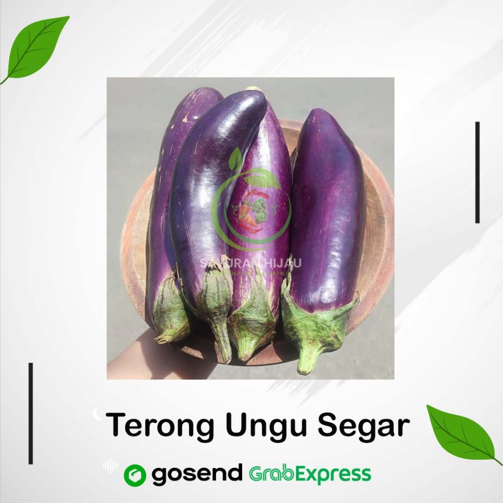 Jual Terong Ungu Segar Berkualitas 100 grm | Shopee Indonesia